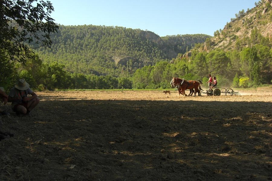 Curso de tracción animal en Tudela de Duero. - Granja Cando - Granja Cando